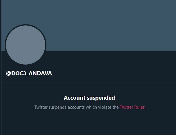 Twitter is suspended for now - by AndavaArt