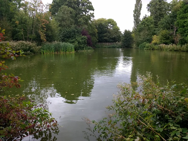 📸 Photo #397 — Open Water View - by Nez-Man