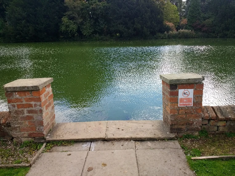 📸 Photo #529 — Open Water View - Low Shot - by Nez-Man