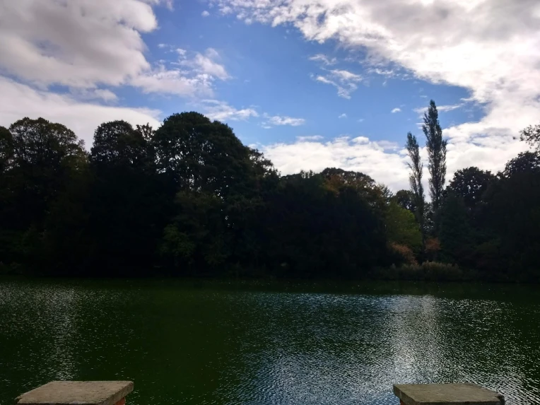 📸 Photo #531 — Open Water View - High Shot - by Nez-Man