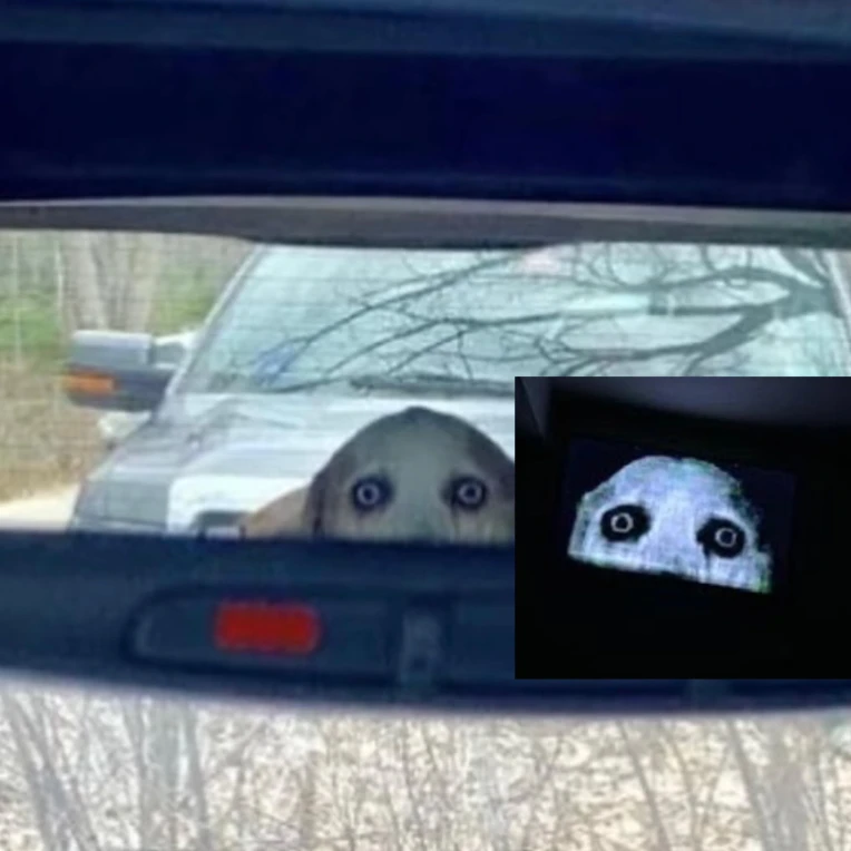 FNAF 3 PS4 Glitch by Cacky0077 on Newgrounds