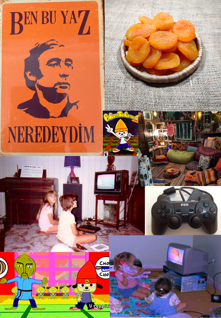 Bvd v ps2 by Cannibalpossum on Newgrounds