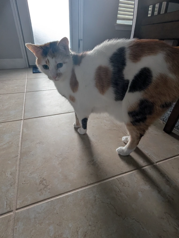 New PFP :3 by winningliam on Newgrounds