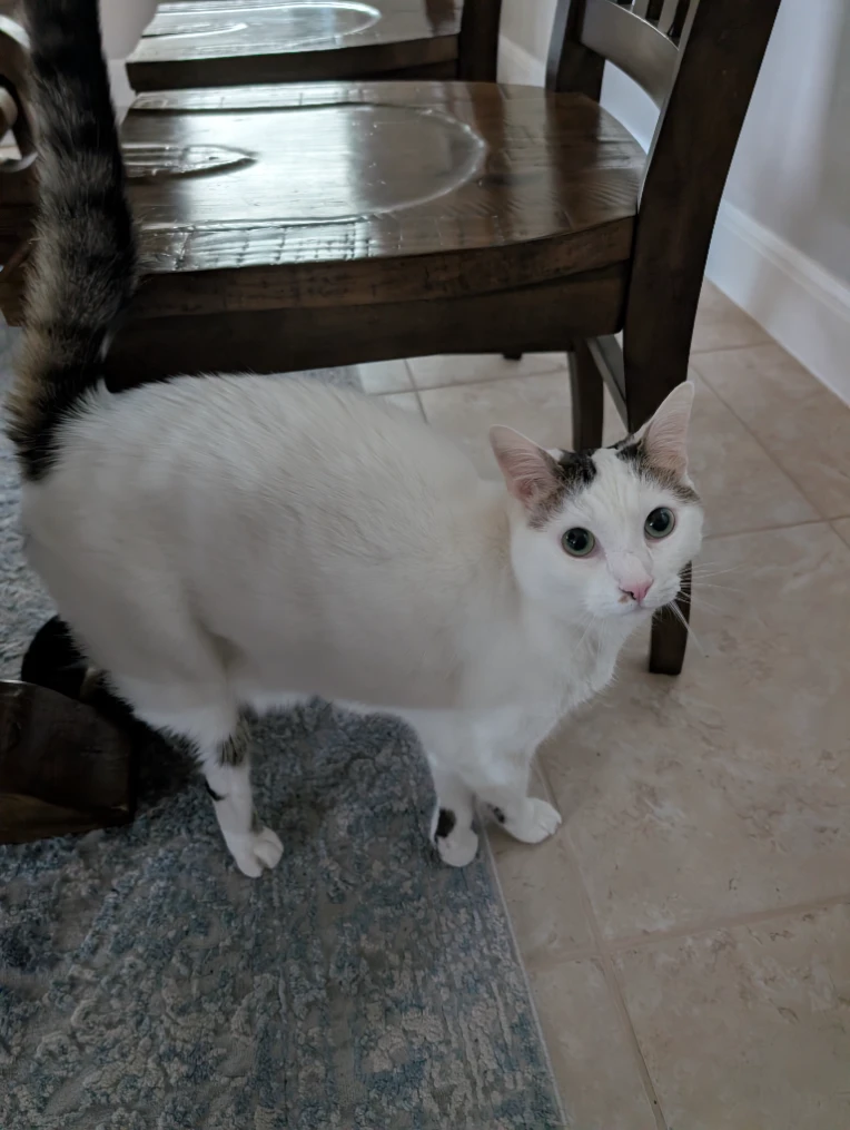 New PFP :3 by winningliam on Newgrounds