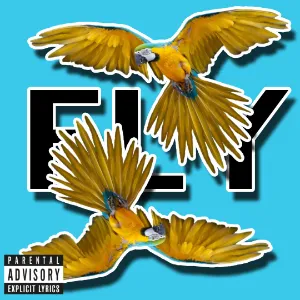 FLY (Unfinished beats)